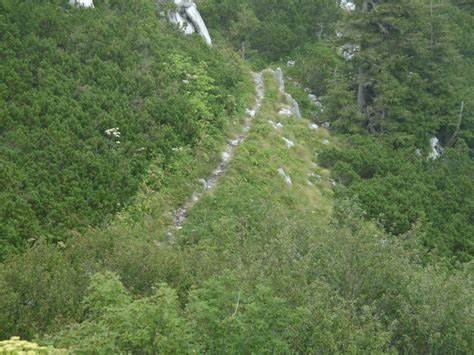 Skitnje Lijepom NaŠom Risnjak