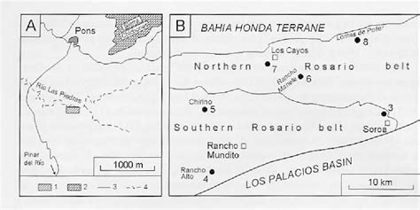 Figure 2 From New Data On The Lower Cretaceous Microfossil And