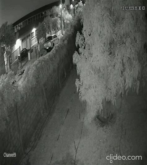 Thief Detection Object Detection Dataset By Proyecto Diplomado Ia