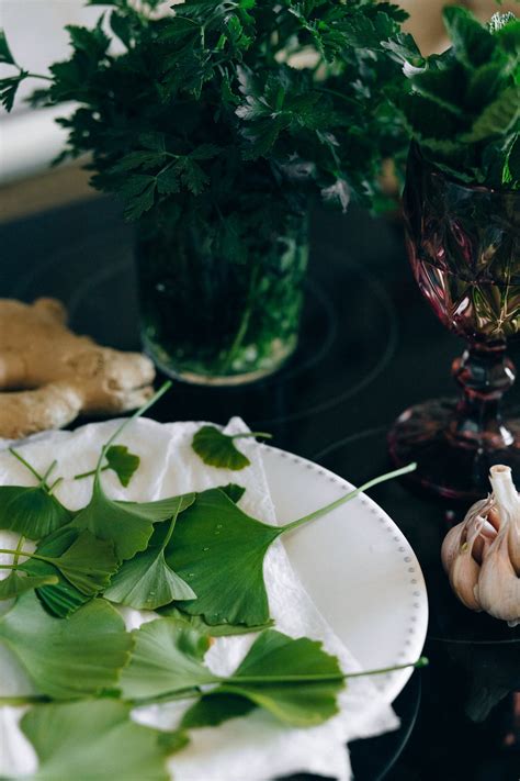 100000张最精彩的 香根草”图片 · 100免费下载 · Pexels素材图片