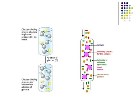 Partition Chromatography 3 Ppt Chemistry Science