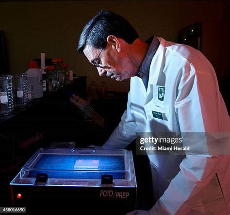 Dr Michael Hass Photos And Premium High Res Pictures Getty Images