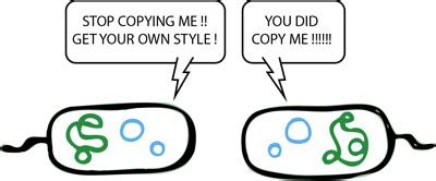 Biology Polymerase Chain Reaction Shmoop Biology