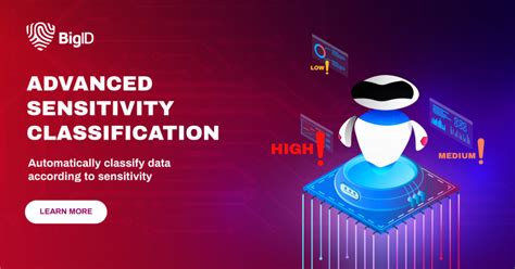 Essential Data Classification Policy Guide Bigid