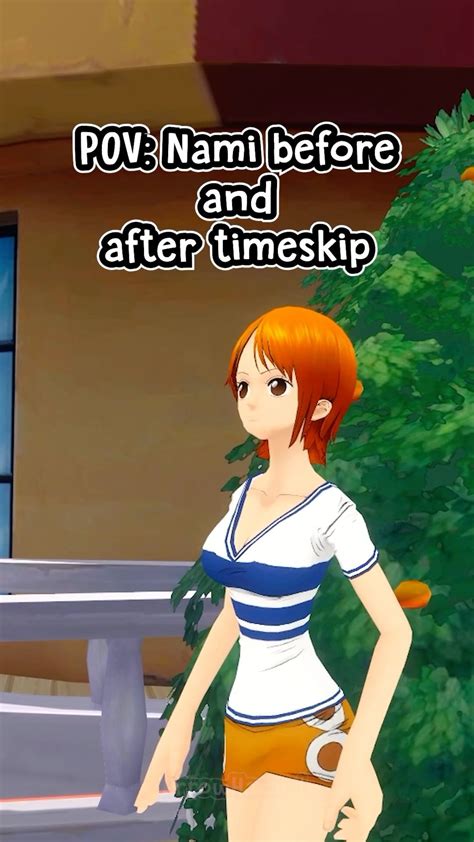 Nami Timeskip Outfit