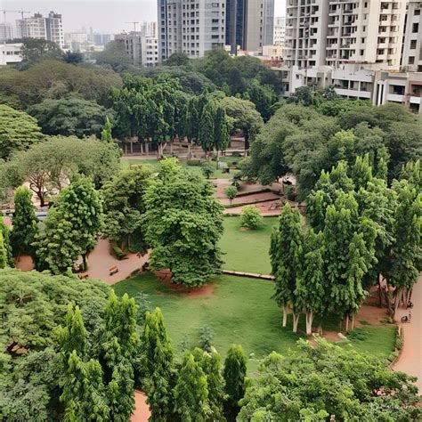 Bangalores Efforts In Promoting Green Spaces And Urban Forestry