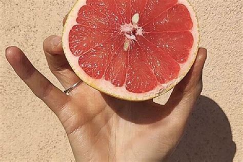 Extrait De Pepin De Pamplemousse Bio Utilisation Dosage Bienfaits