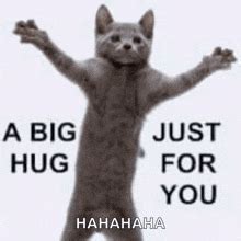 Cat Hugging Kitten  S Tenor