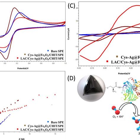 11 Simplified Diagram Of A Calorimetric Biosensor Download Scientific Diagram