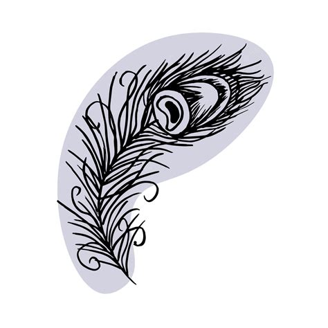 40 White Peacock On Black Illustrations Royalty Free Vector Clip
