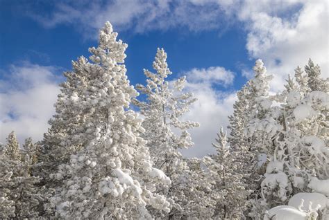 Yellowstone National Park Winter — Slonina Nature Photography