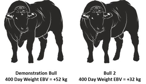 Compare Expected Difference In Progeny Performance The Toolbox Mla