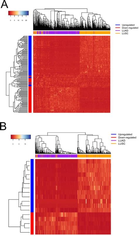 Heatmap Shows The 131 Selected Genes A For Gene Expression Analysis
