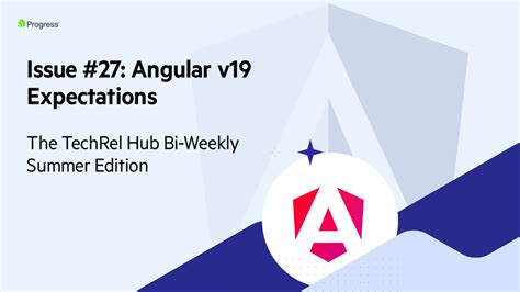 Issue 27 Angular V19 Expectations