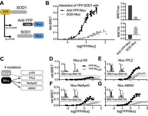 Variable Donor Bret Saturation Assay Applied To Study Protein Complex
