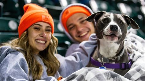 Dog Friendly Baseball Games Major League 2026 Citydog Magazine