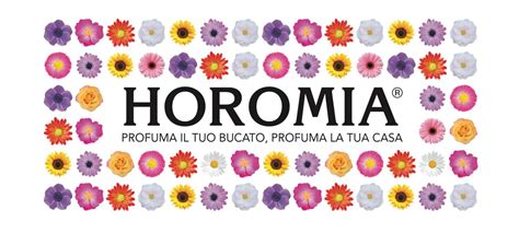 HOROMIA - Olejové parfumy do prania - Horobox Silver - BEAUshop.sk