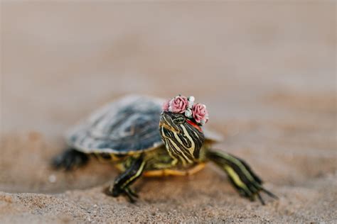 Pythonで長いコードを改行して記述する方法｜dot Blog