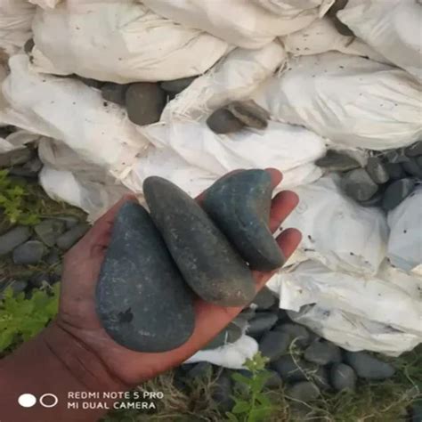 Natural Black Flat Pebbles Size 10 Mm At ₹ 12kg In Chennai Id 2855852512497