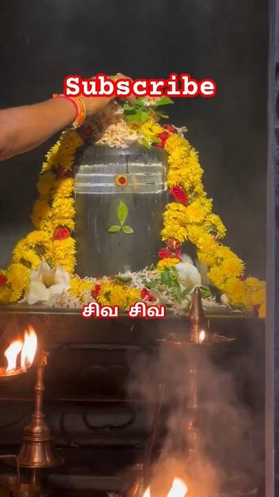 சிவ சிவ ஓம் நமசிவாய Lordshiva Shorts Omnamahshivaya Sivan சிவன்