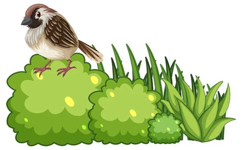 Images De Buisson Svg Téléchargement Gratuit Sur Freepik