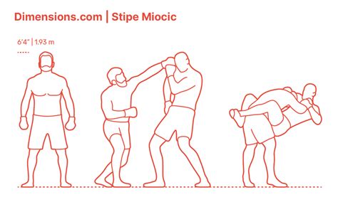Professional Wrestling Ring Dimensions And Drawings