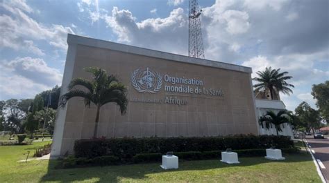 Empowering Inclusion Creating Opportunities Danael Brognola Nzounza