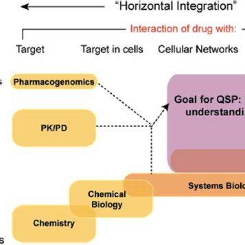 Looking At The Big Picture The New Qsp Paradigm Integration Of