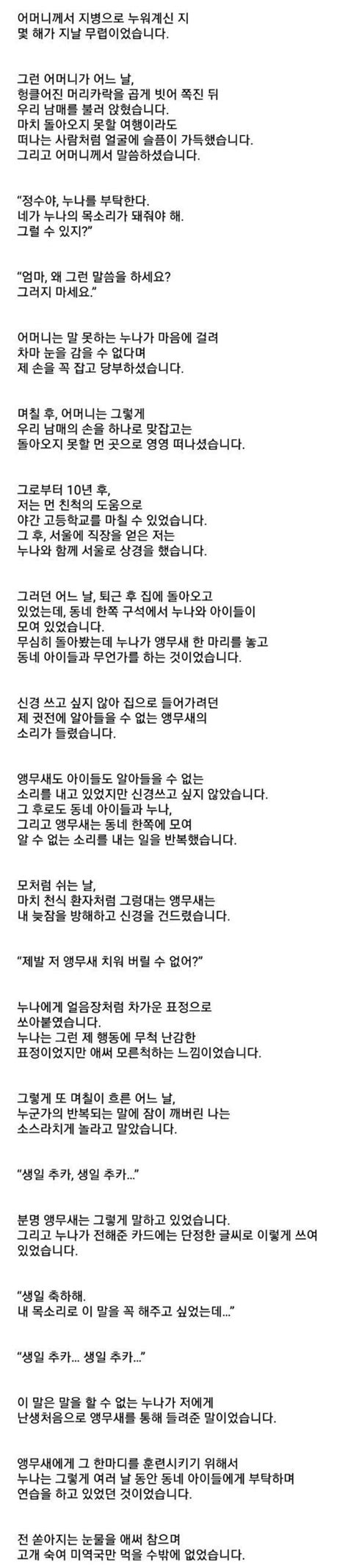 말못하는 누나의 생일상 인스티즈instiz 이슈 카테고리