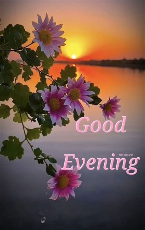 Beautiful Good Evening Quotes Hd Wallpapers Images Sms Greetings Artofit