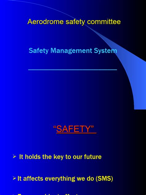 Safety Report Pdf