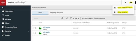 Remote Infrastructure Management Veritas Netbackup 8 1 2 Webui