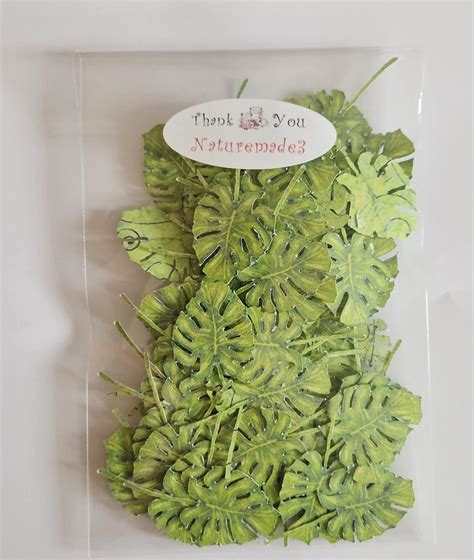 Monstera Leaf Confetti Green Leaf Craft Nature Craft Yaxa Colombia
