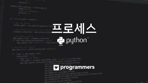 프로그래머스 프로세스 파이썬 Python 우당탕탕 개발자 되기 프로젝트