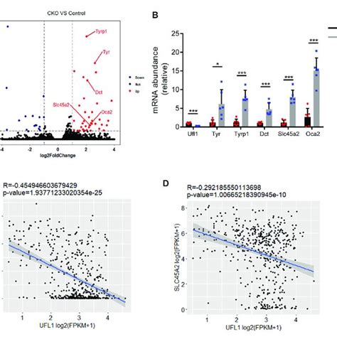 Global Transcriptome Analysis Of Ear A Volcano Plot Of Downregulated