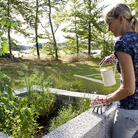 Bygga Odlingsbädd Gör En Odlingsbädd Av Murblock