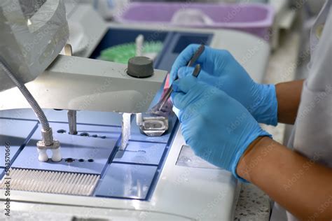 A Pathologist Is Preparing A Pathological Biopsy For Laboratory