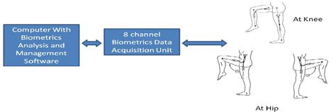 Figure From Lower Body Gait Analysis Using Biometrics Twin Axis Goniometers Semantic Scholar