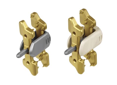 Spinous Process Fixation International