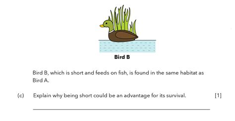 Structural Adaptations And Behavioural Adaptations Of Birds Primary