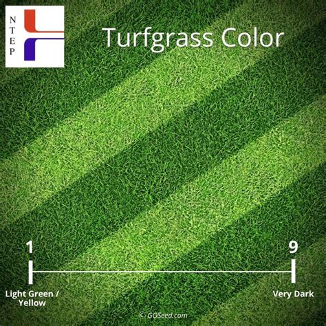 How To Read National Turf Evaluation Program Results Go Seed