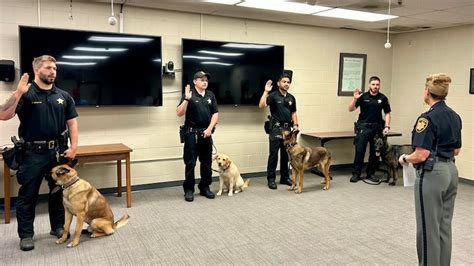 4 New K 9s Join Summit County Sheriffs Office
