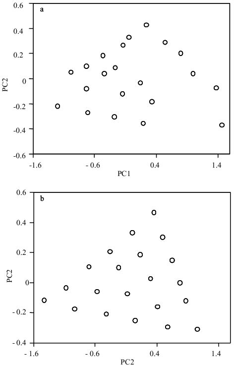 Plots Of First Principal Component Against Second Principal Component