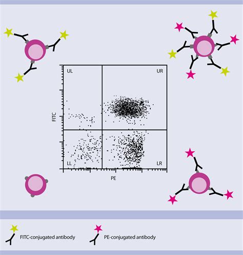 Flow Cytometry Basics Miltenyi Biotec Usa