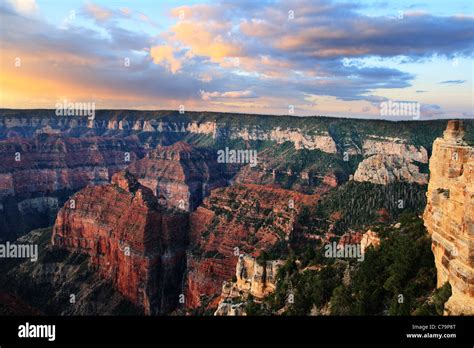 Sunrise Lights Up The Clouds On The North Rim Of The Grand Canyon Stock