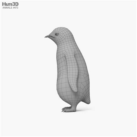 Pollito Pinguino Modelo 3d Descargar Aves On