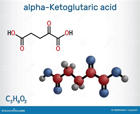 Alpha Ketoglutarate Structure