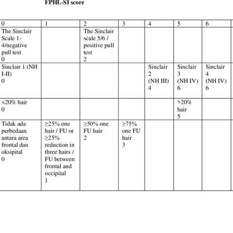 Fphl Si Assessment Sheet Maximum Score Of 20 15 Download Scientific Diagram