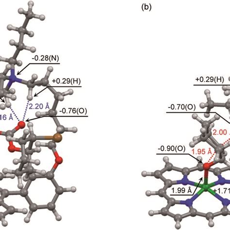 Optimized Structures Of Transition State Ts3b In The Reaction Catalyzed
