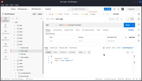 Owasp Api Testing Guide A Visual Guide To Owasp Api Testing With Vapi